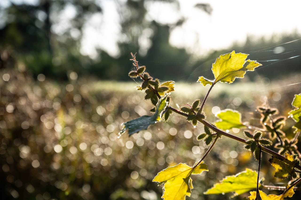 Suppliers - National Intermodal